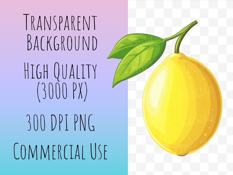 Fruit Citrus Clipart Bundle 50 PNG Orange Lemon Lime Grapefruit ...