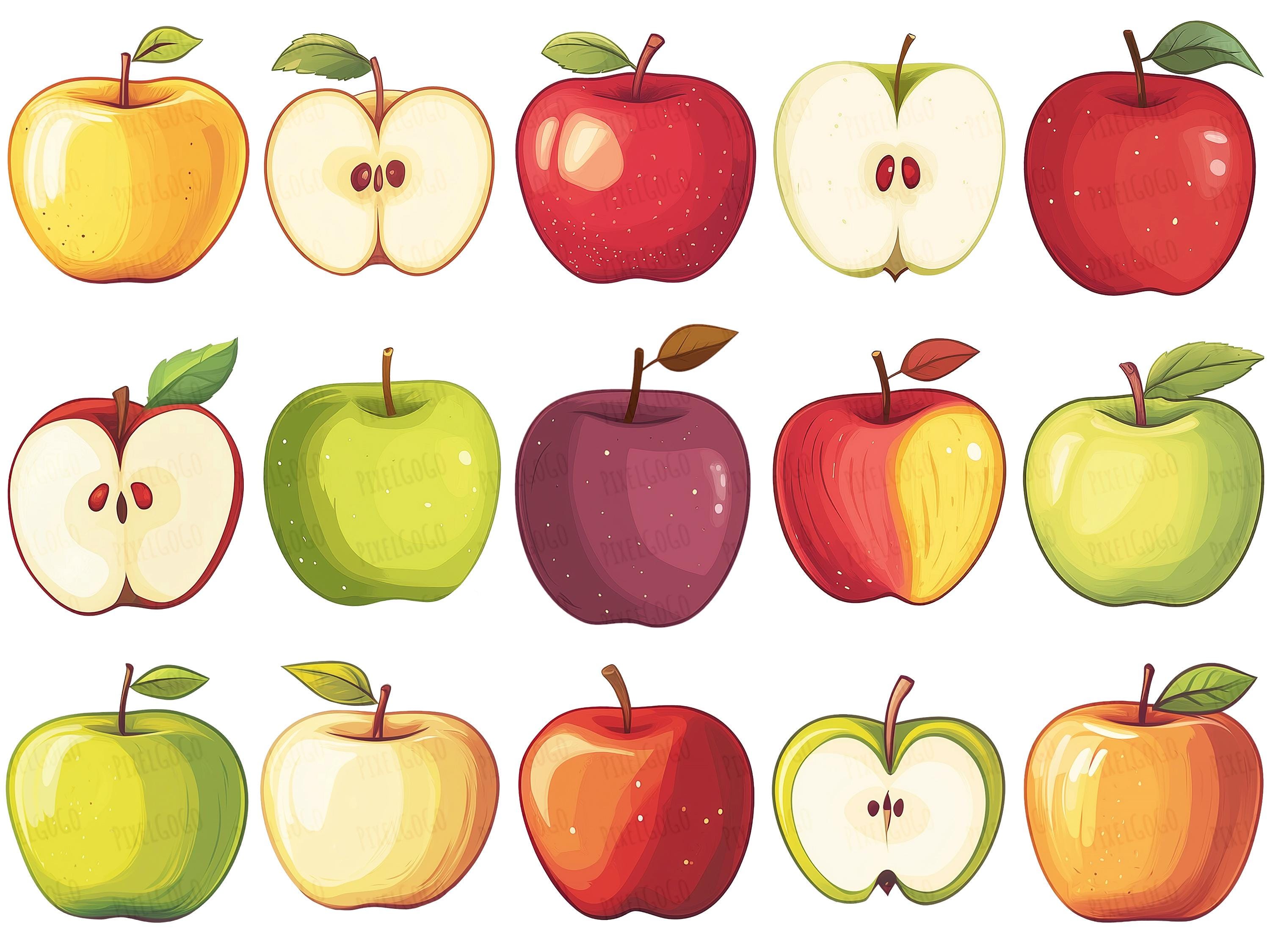 Apples Pears Clipart Bundle 65 PNG Fruit Healthy Eating Nutrition ...