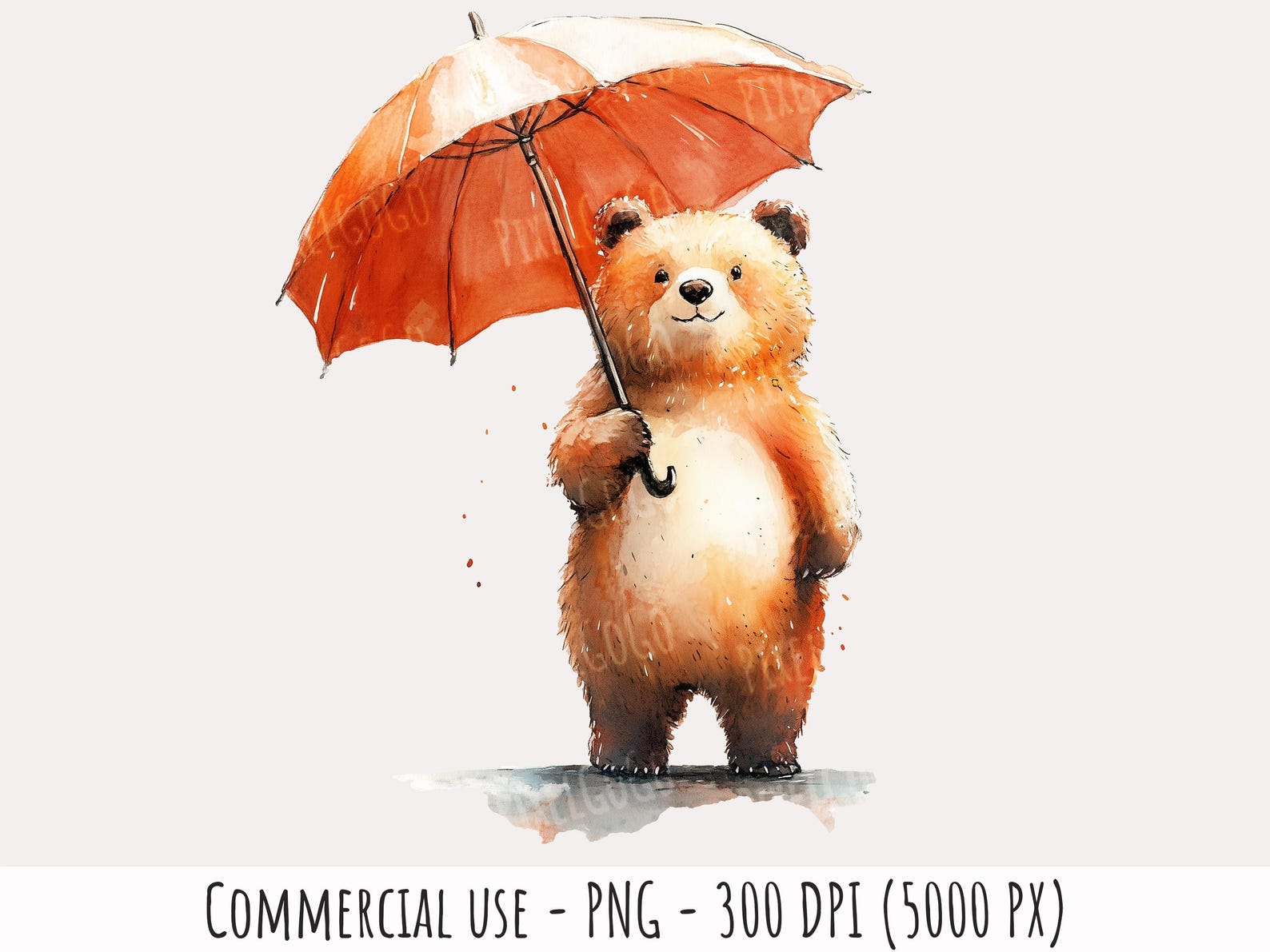 Bear Umbrella Watercolor Clipart 1 PNG Cute Animal Nursery Art Kids ...