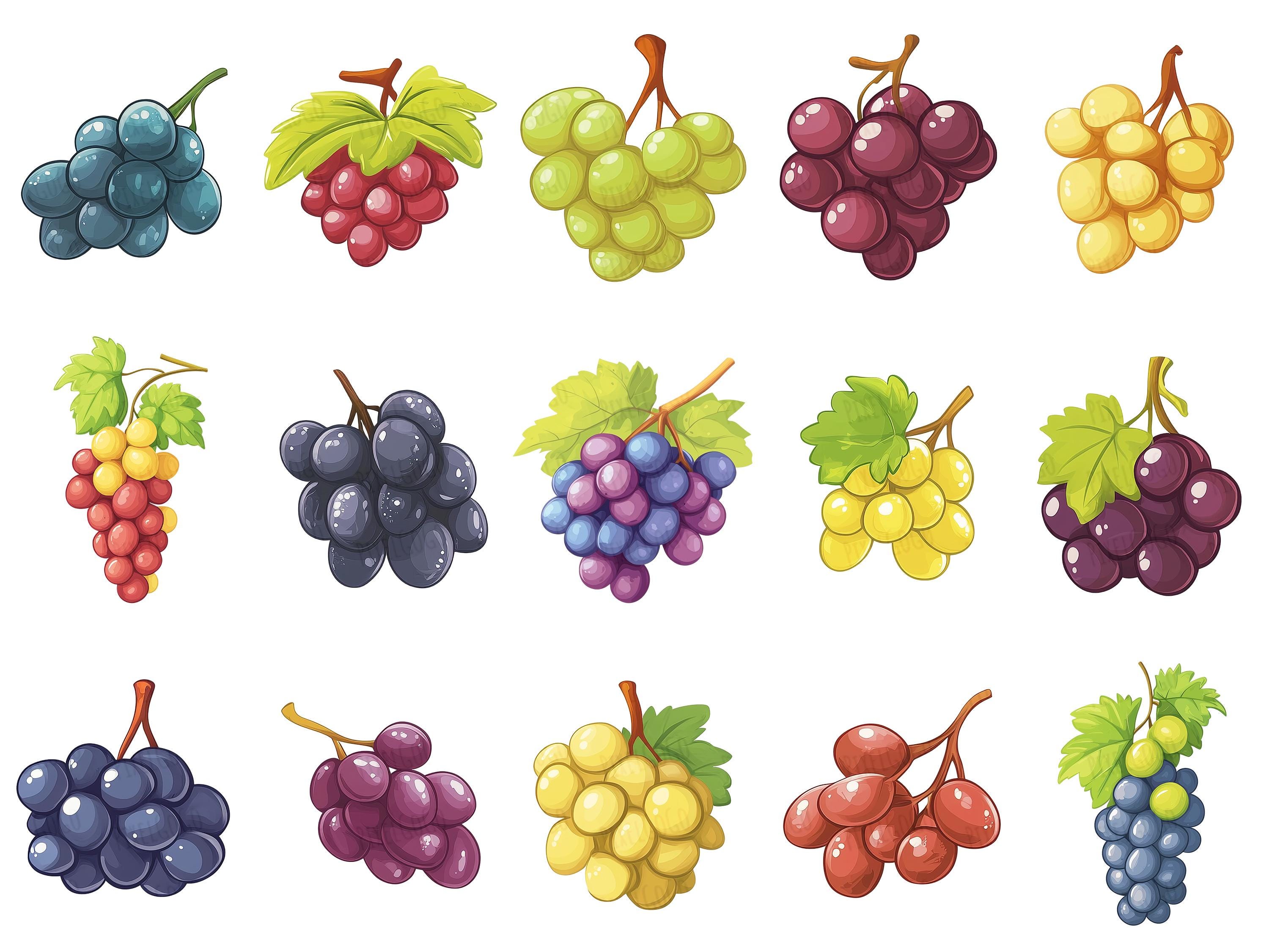 Grape Clipart Bundle: 65 PNG Fruit Graphics (commercial Use) (digital ...