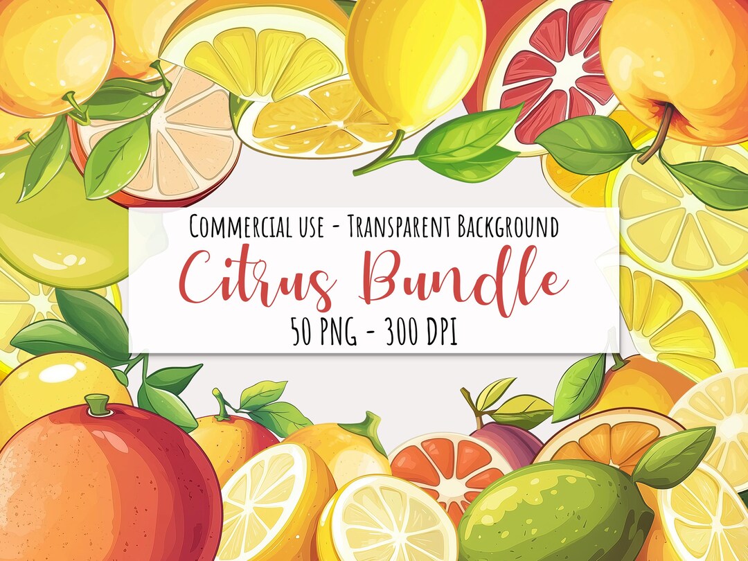Fruit Citrus Clipart Bundle 50 PNG Orange Lemon Lime Grapefruit ...