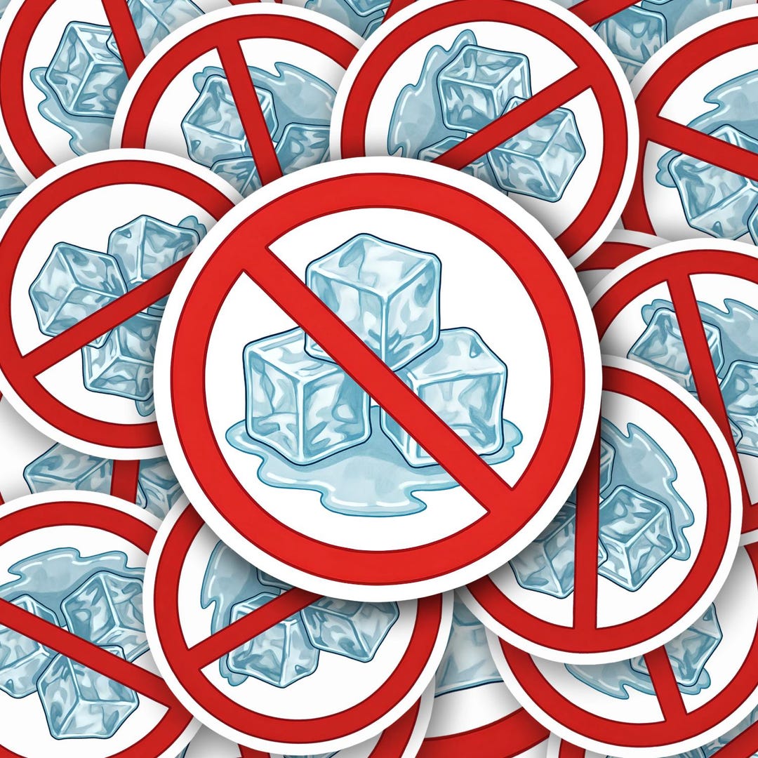 No Ice Sticker - Anti-ice Immigration Enforcement Vinyl Decal - Social ...