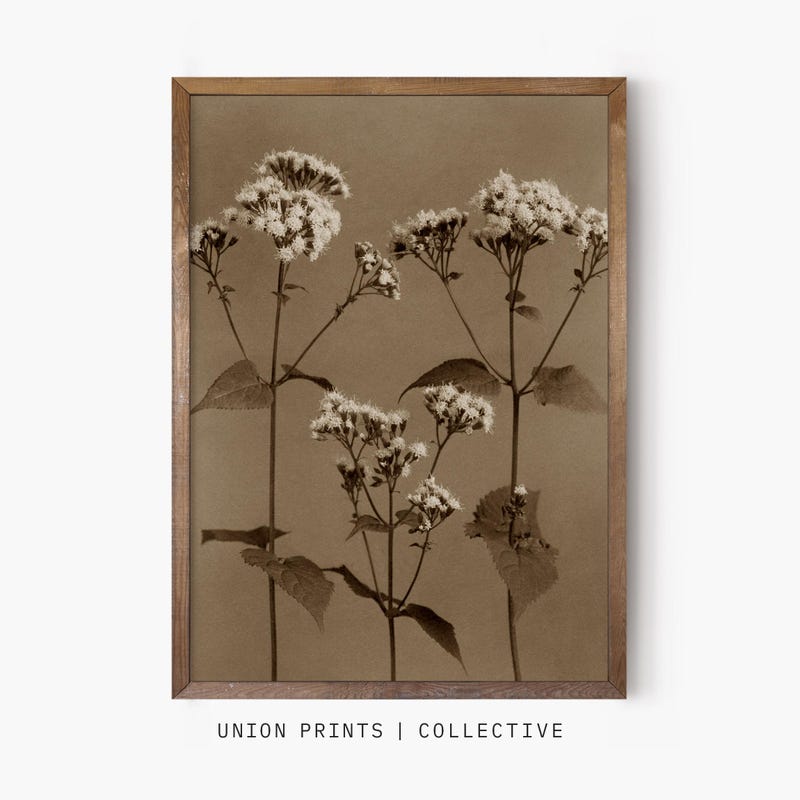 Sepia Printable - Etsy