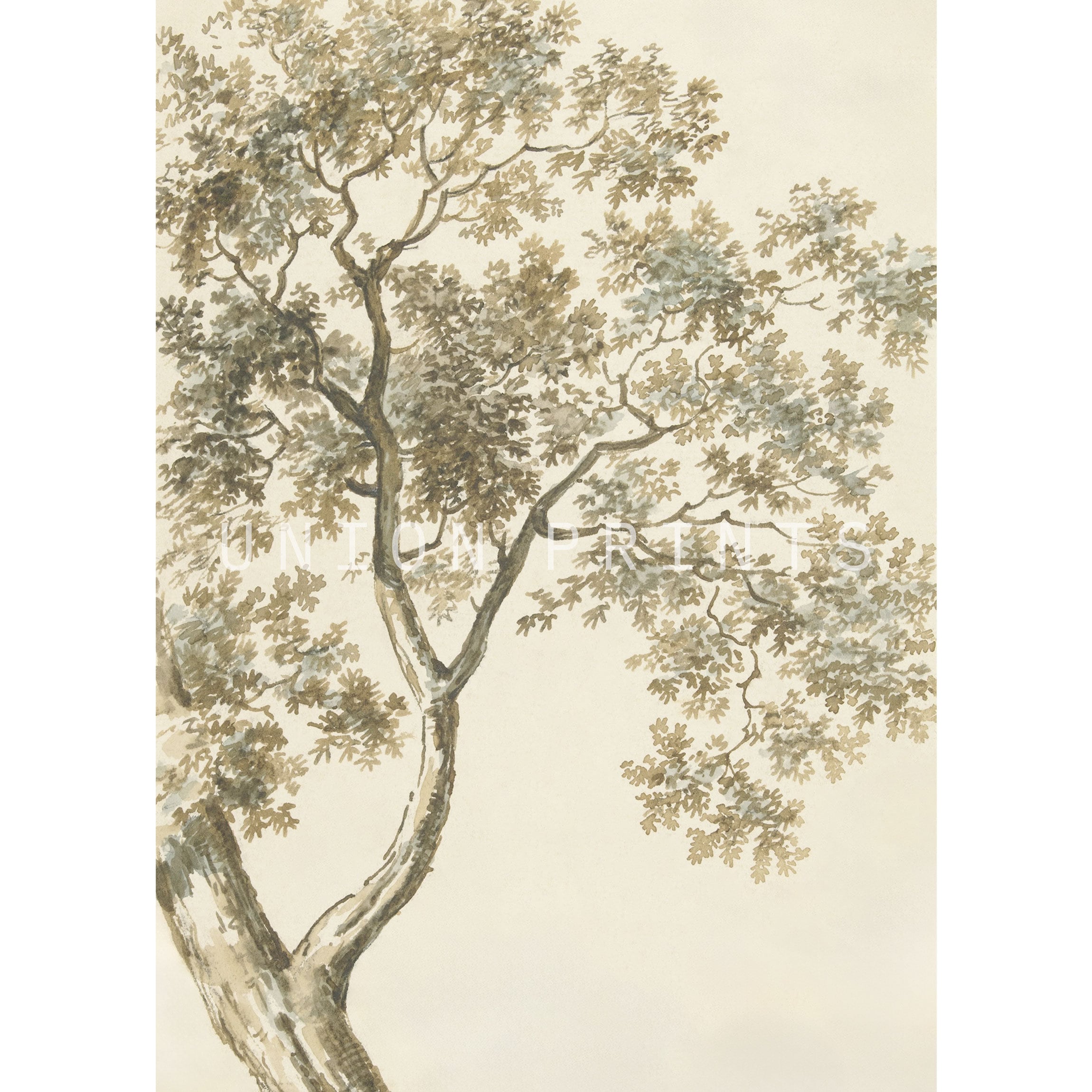 Printable Vintage Tree Watercolour Art Botanical Tree Print Sepia Tone ...