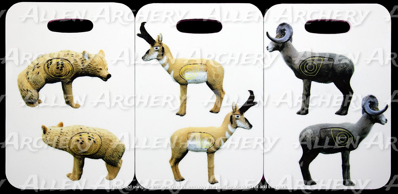 3D Target Aim Point Cards - Etsy