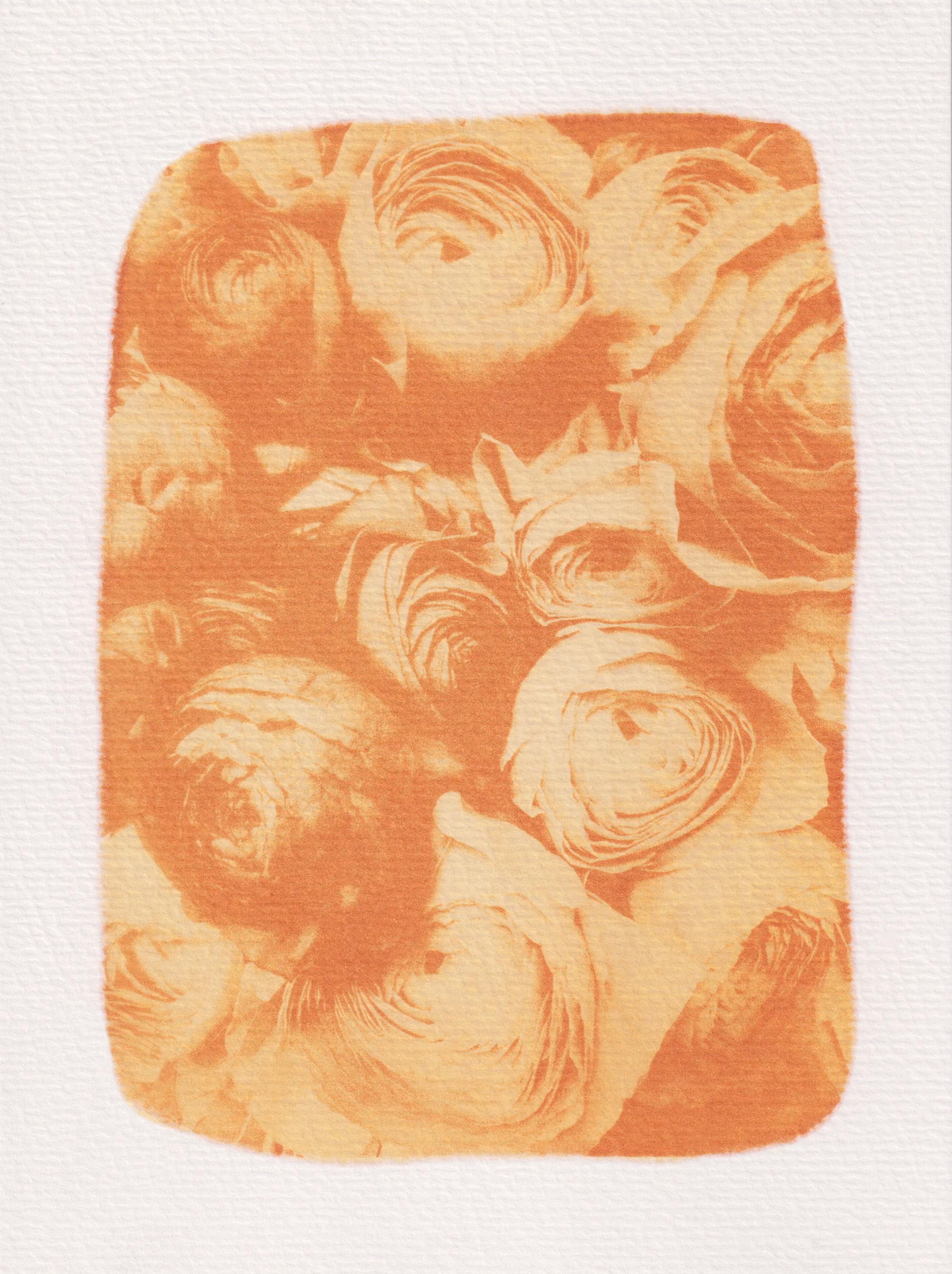 Roses Anthotype Digital Download Botanical Art Print Original Home ...