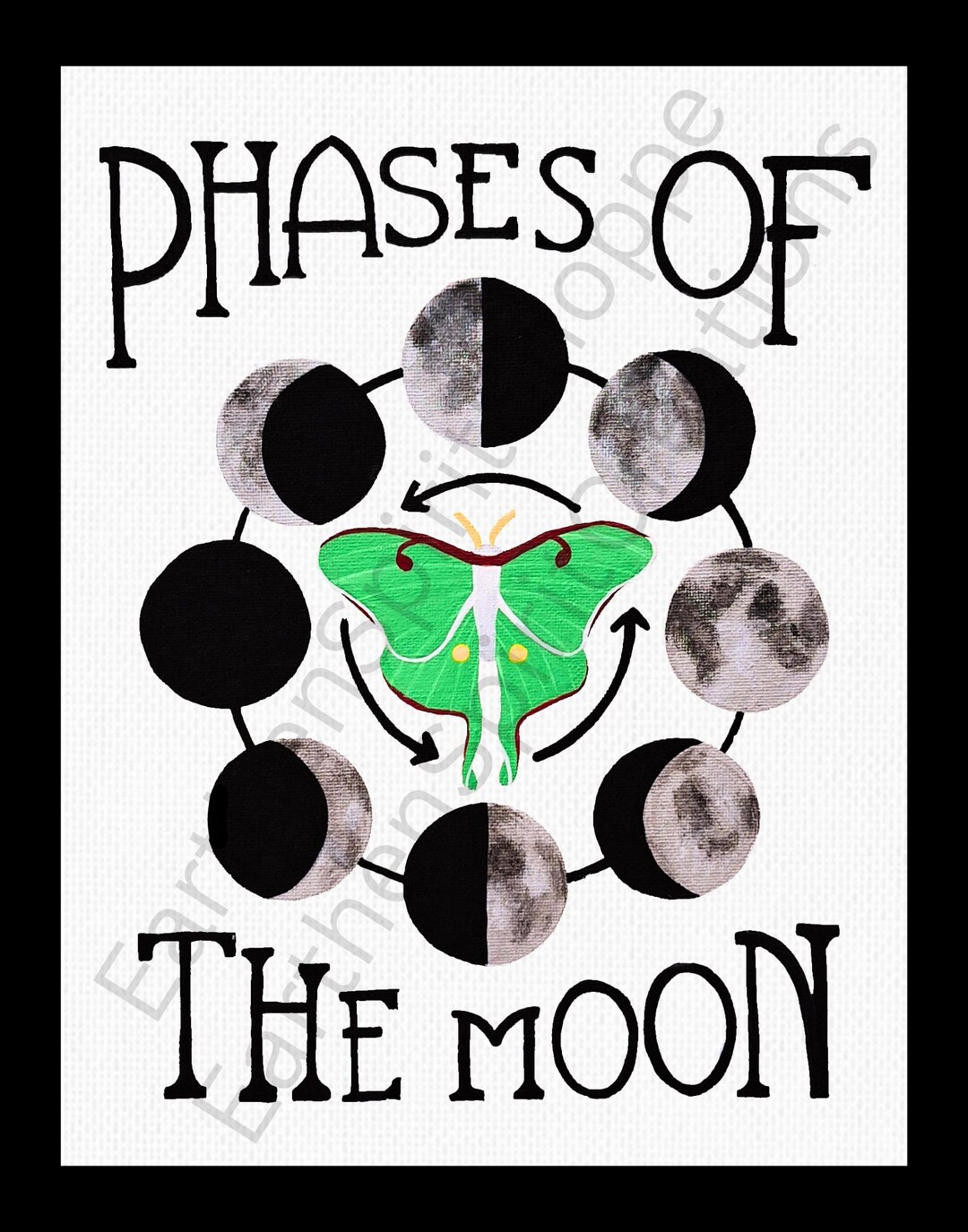 Lunar Moth Moon Phases Digital Download Canvas Print - Etsy