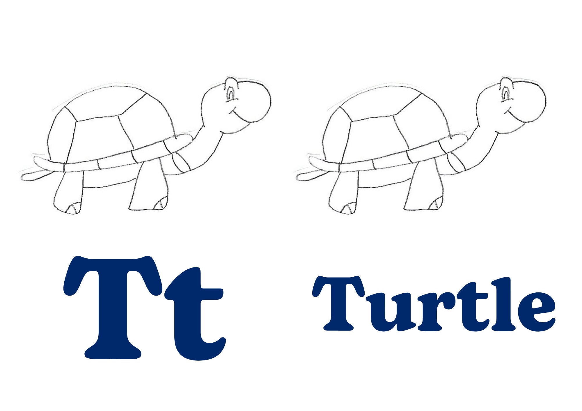 Color Your Own Alphabet Flashcards! - Etsy