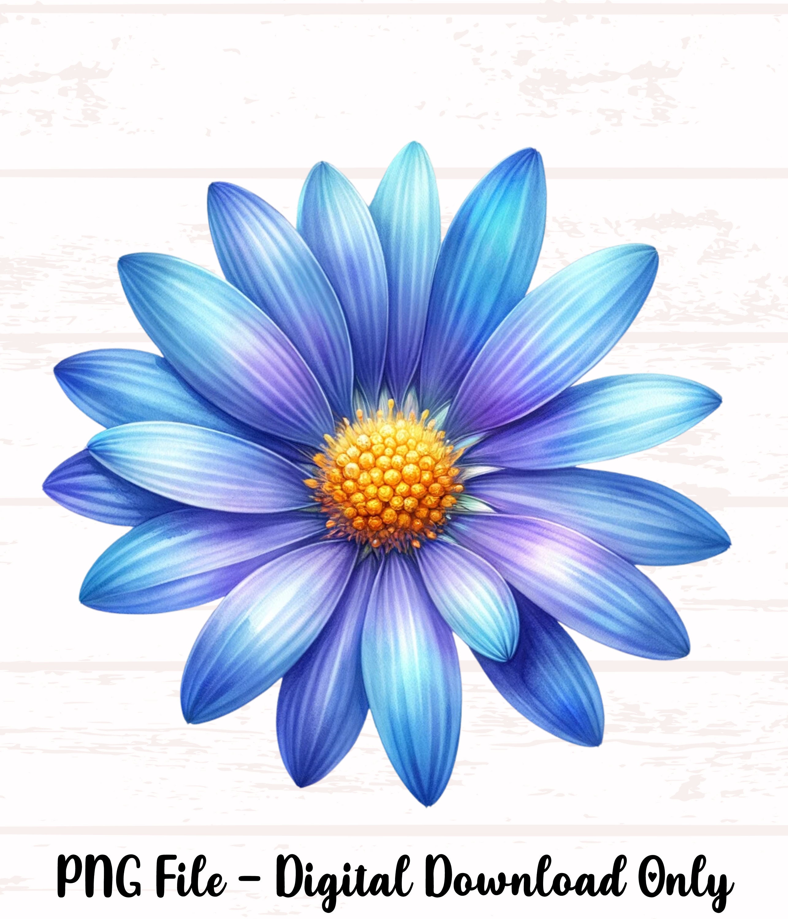 Daisy Clipart Png, Daisy Clipart, Daisy Wedding Bouquet, Daisy Flower ...