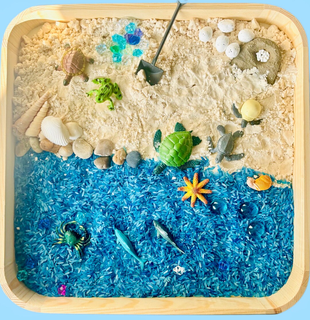 Turtle Life Cycle Pour and Play, Busy Box, Sensory Kit, Educational ...