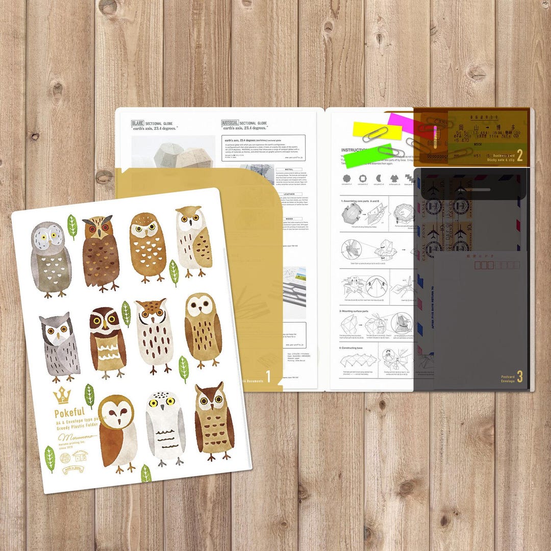Owl A4 Clear File - Etsy