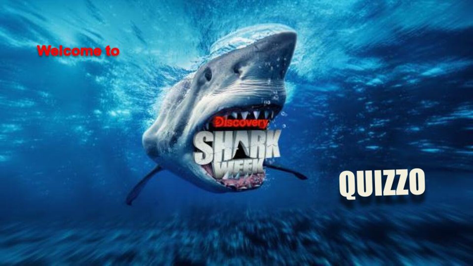 Shark Week Quizzo - Instant Download PDF File Includes Link to Google ...