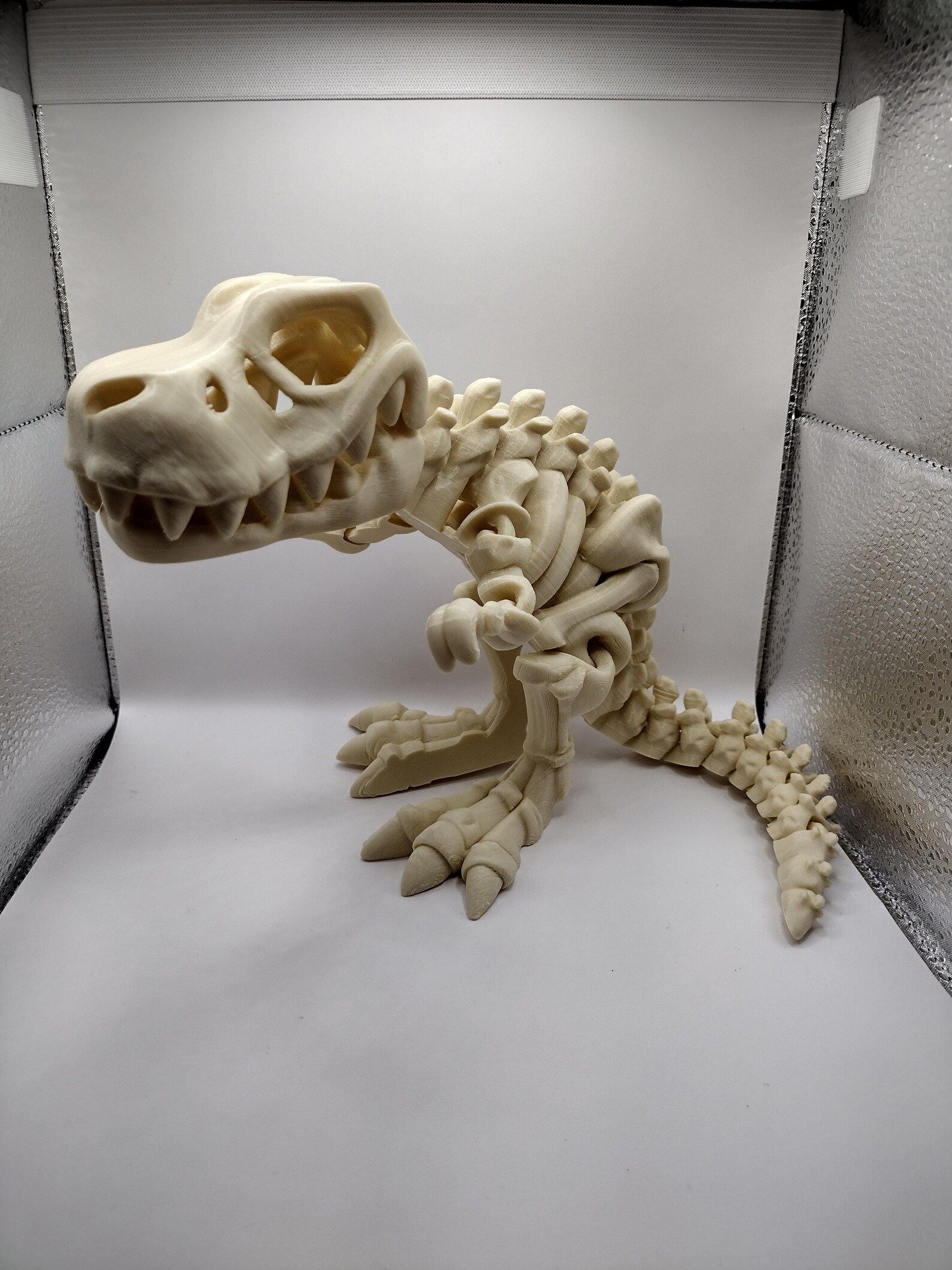 Large Skeleton Flexi T-rex - Bone - Dinosaur - Etsy