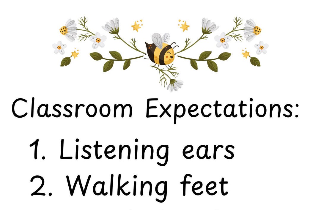 Bee-themed Classroom Expectations Poster Set Four Sizes editable - Etsy