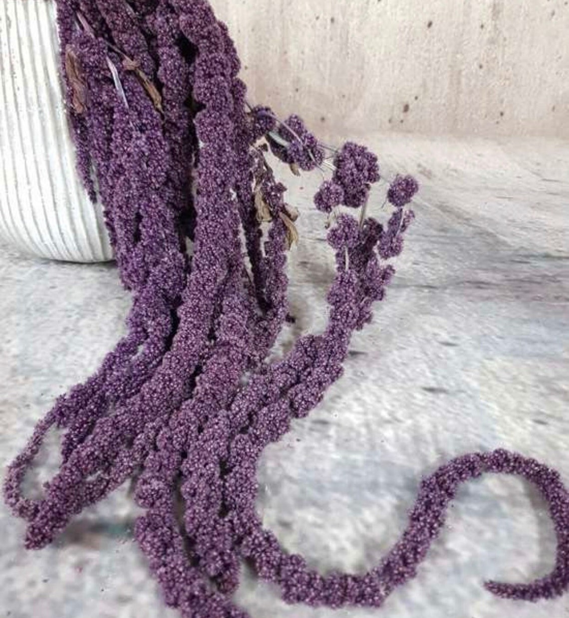 Preserved Amaranthus Vintage Purple H50-80cm, Wall Decoration - Etsy