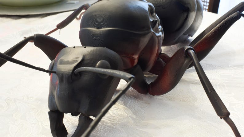 Giant Ant – Realistic Oversized Display Model - Etsy