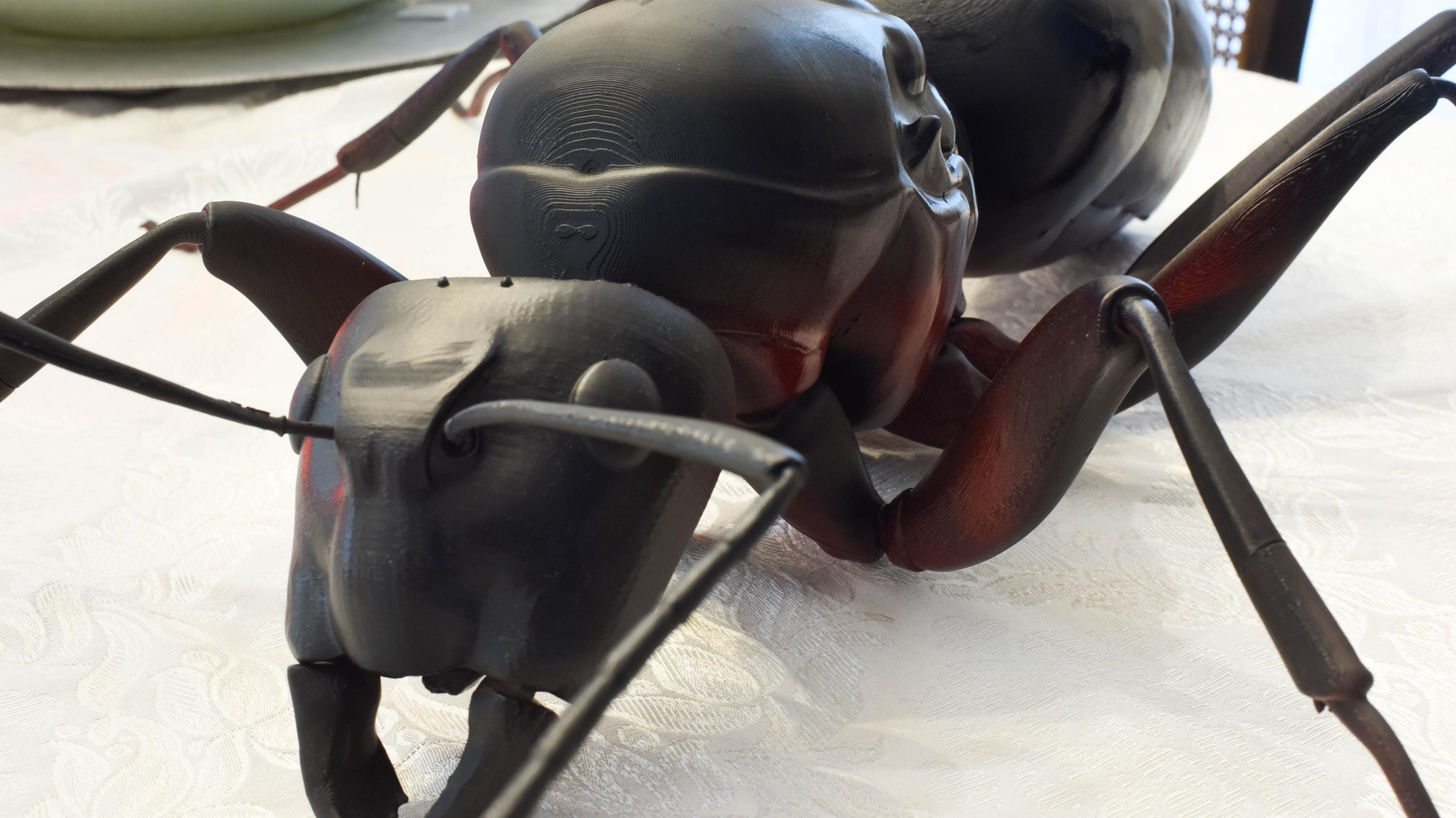 Giant Ant – Realistic Oversized Display Model - Etsy