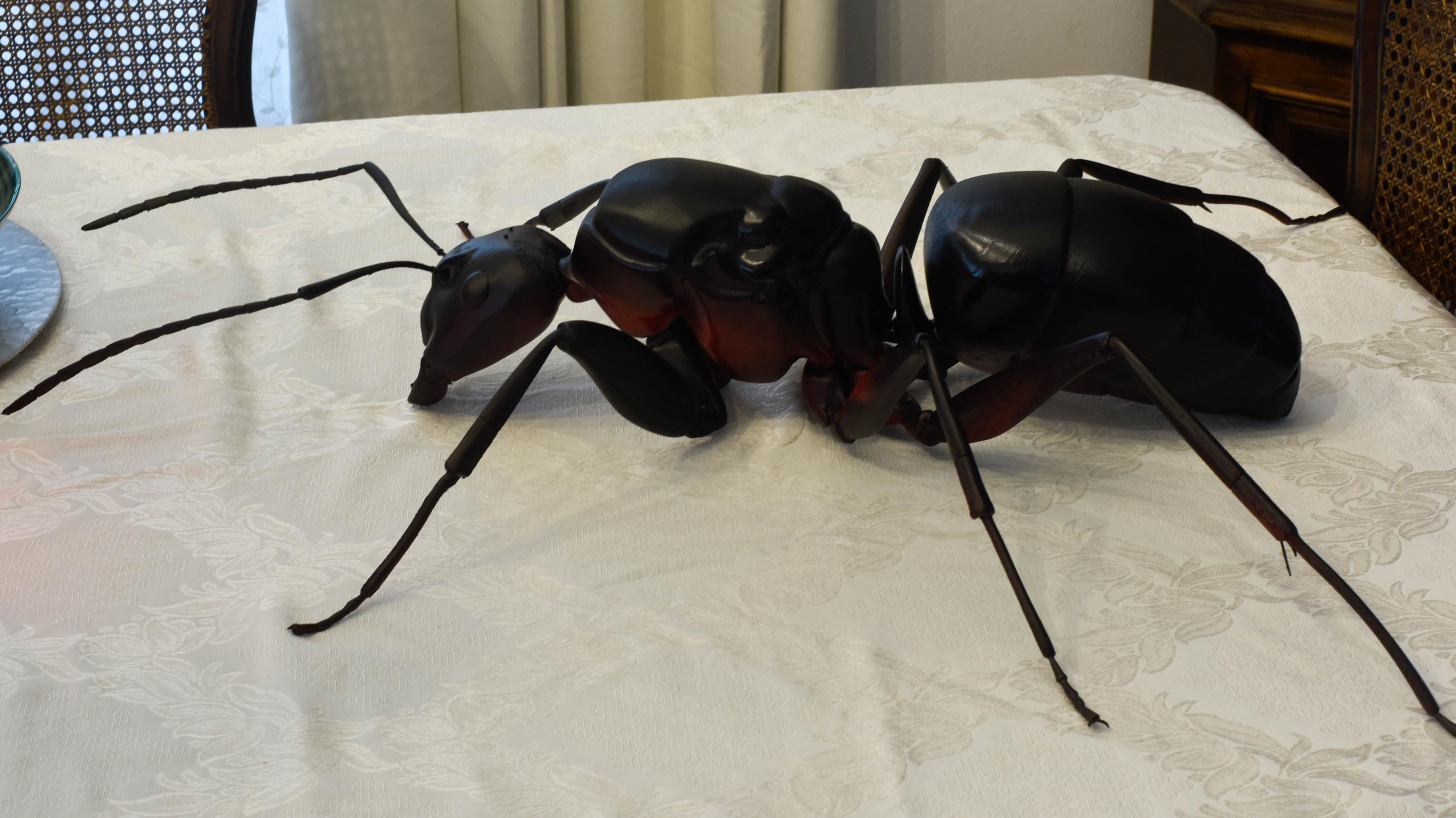 Giant Ant – Realistic Oversized Display Model - Etsy