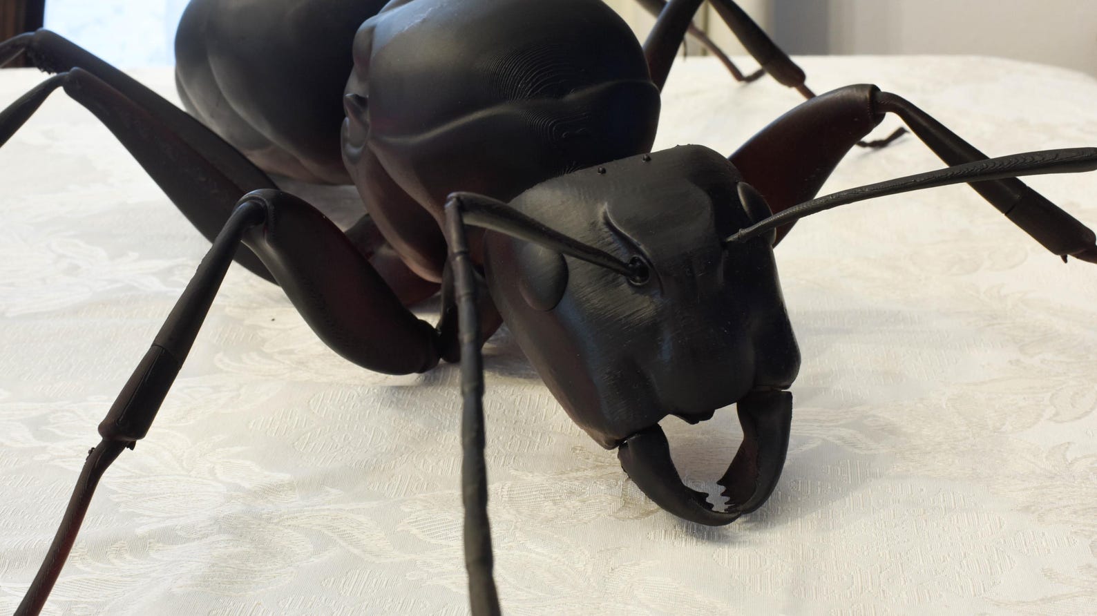 Giant Ant – Realistic Oversized Display Model - Etsy