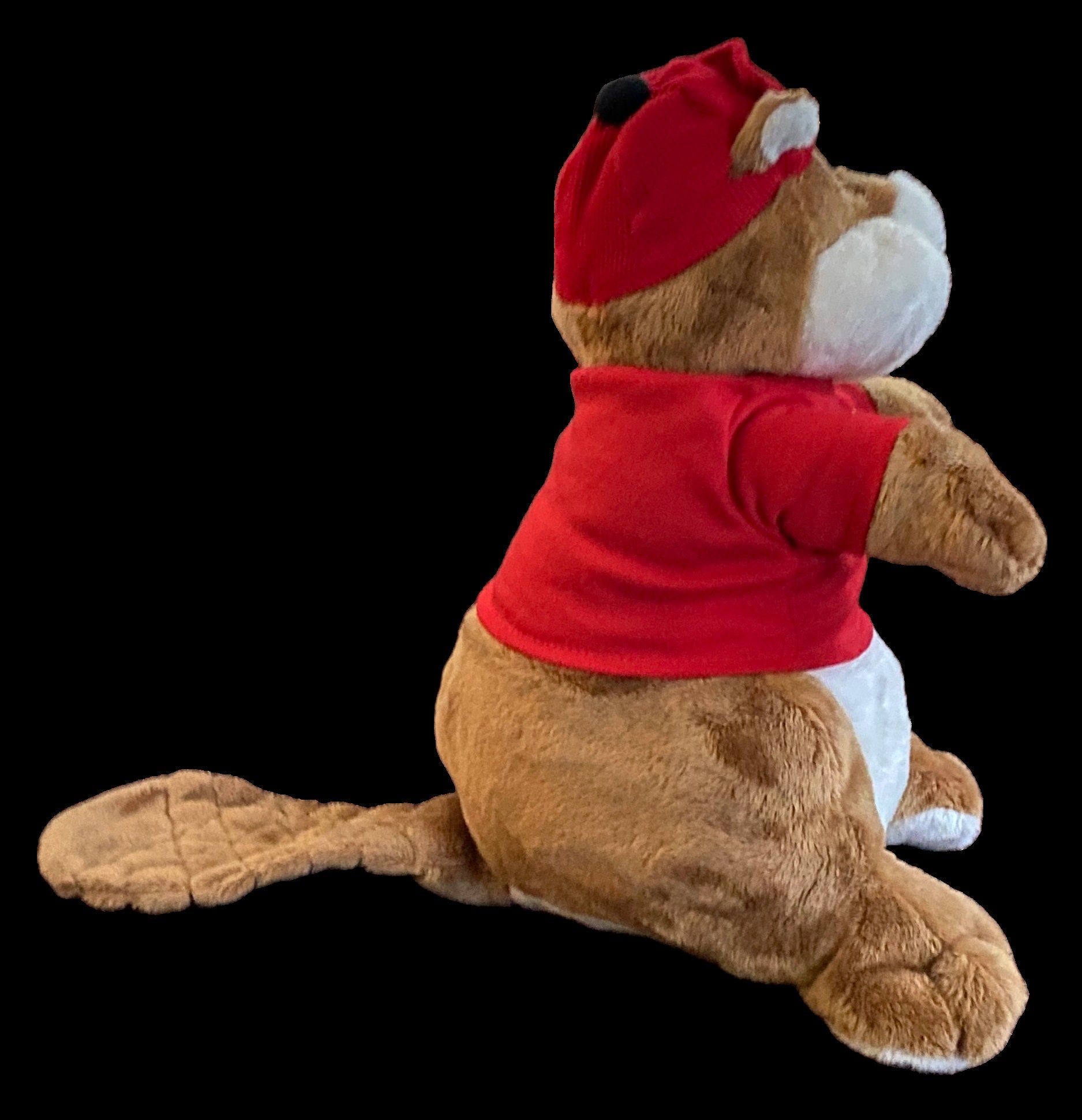 Buc-ee's Beaver Plush Toy - Etsy