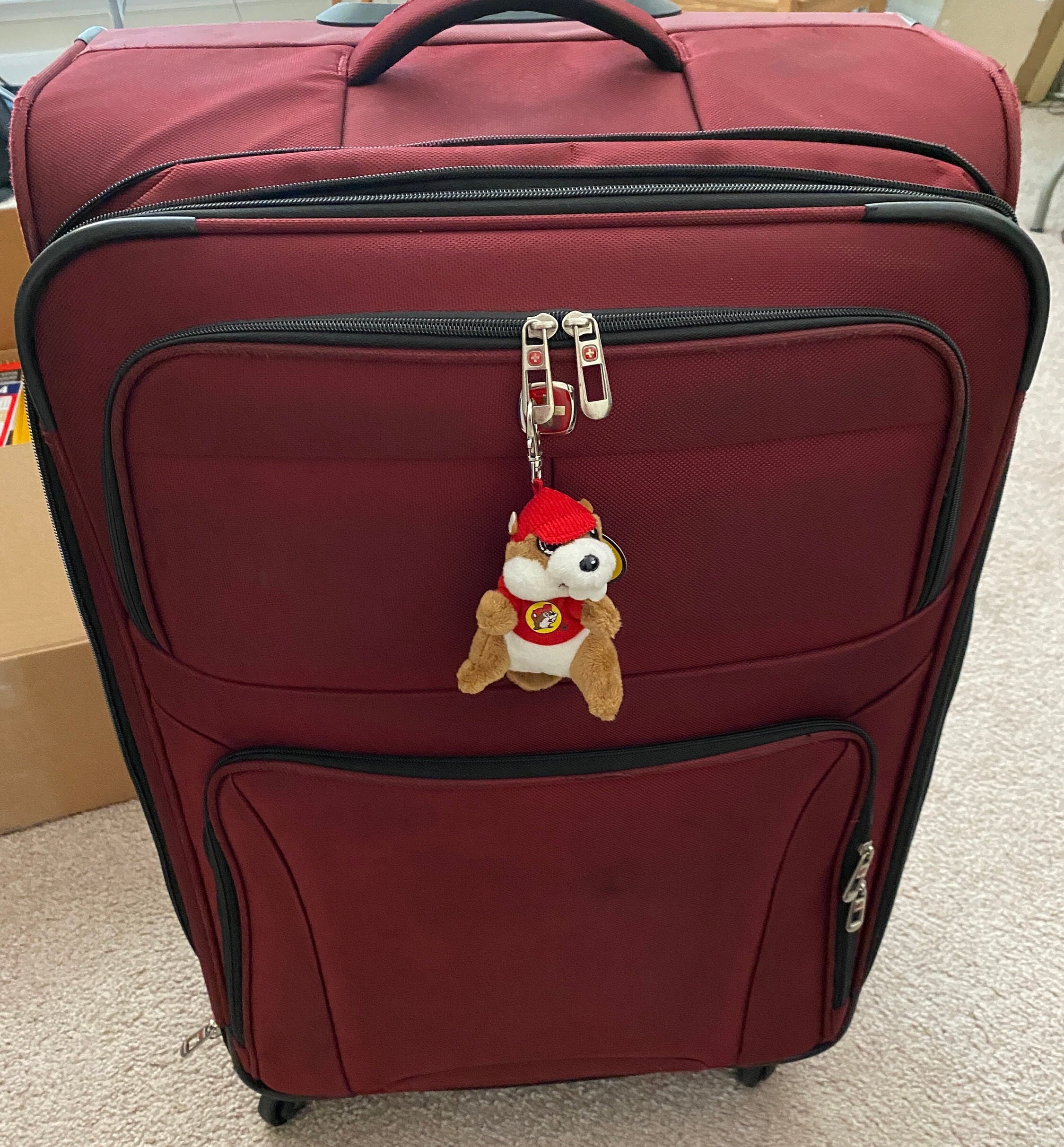 Buc-ee's 4" Mini Plush Keychain - Etsy