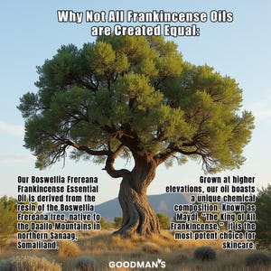 Castor Oil & Frankincense Resin Roller - Organic Cold Pressed Hexane ...