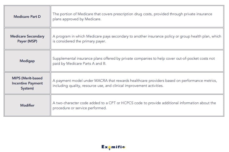 CPC Cheat Sheets: 2025 Medical Coding Terminology (PDF) - Etsy