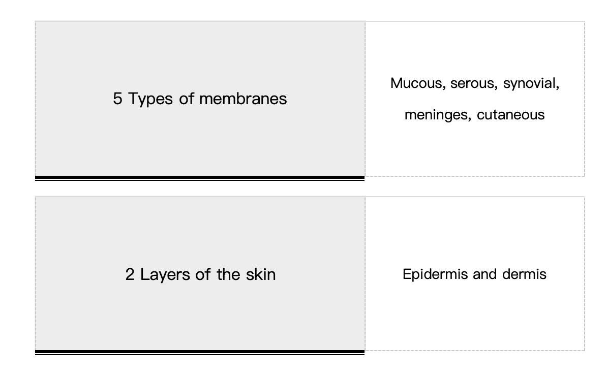 CPC Flashcards: 2025 Medical Coding Exam Prep (PDF) - Etsy