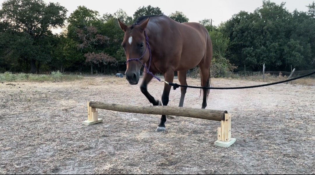 Wooden Equestrian Cavalettis Pair - Three Tier - Etsy
