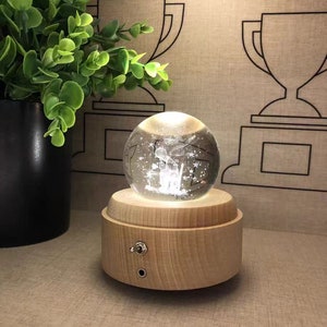 The Little Prince Crystal Music Box, Rotating Rose Music Box Ornament ...