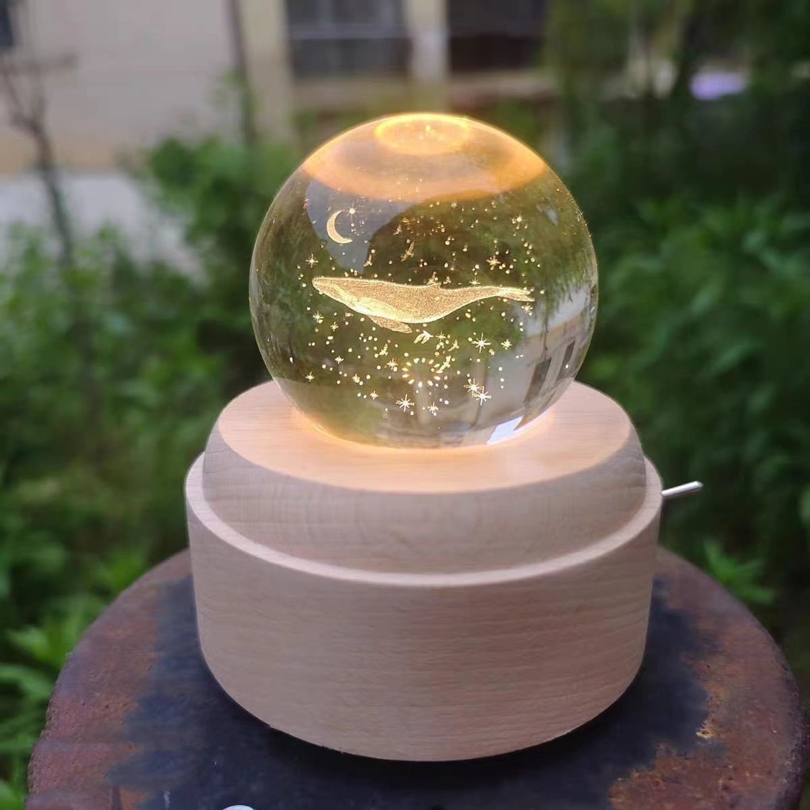Whale Crystal Music Box, Rotating Marine Animal, Wooden Base - Etsy