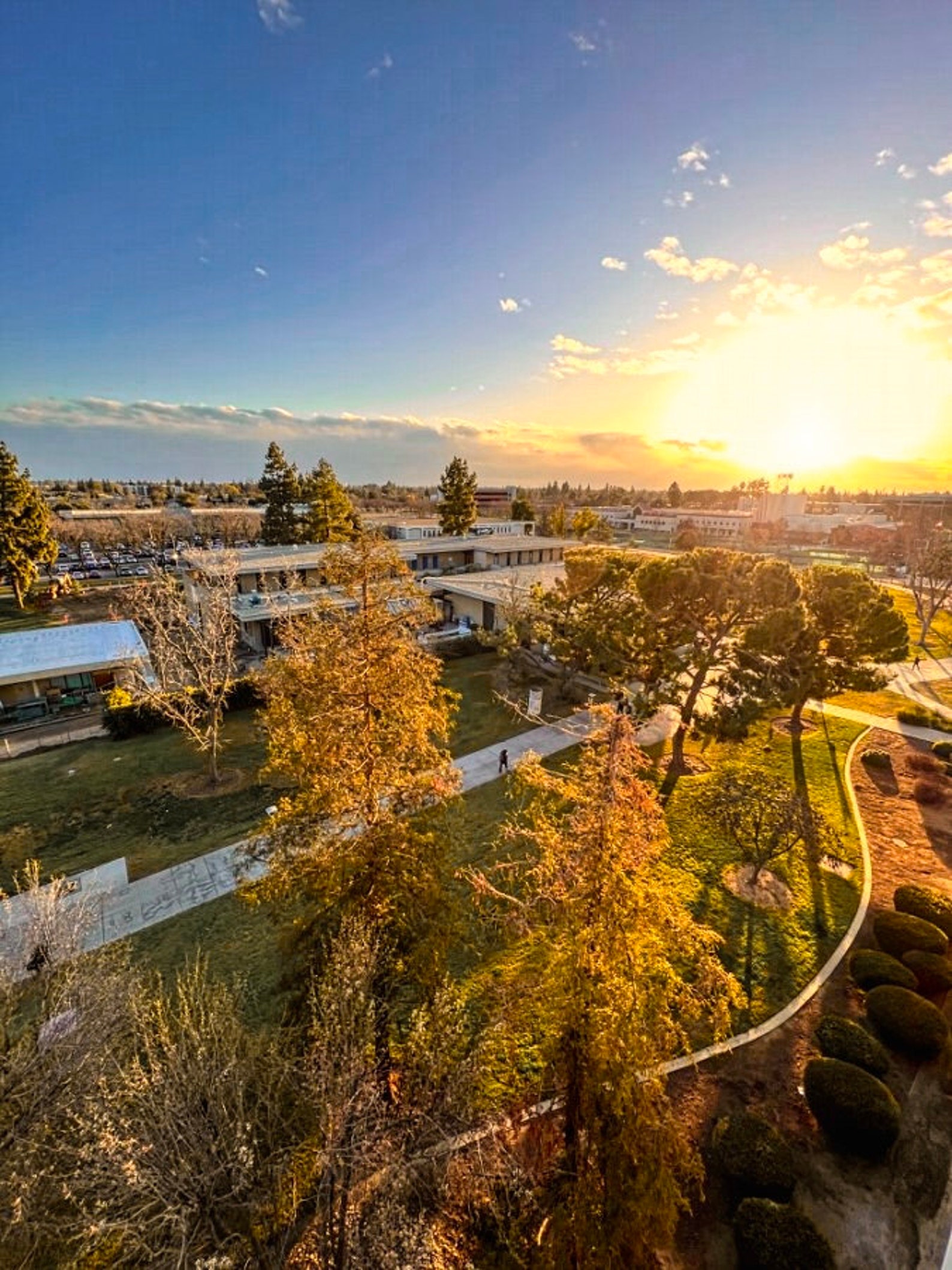 CSUF Campus - Digital Download - Etsy