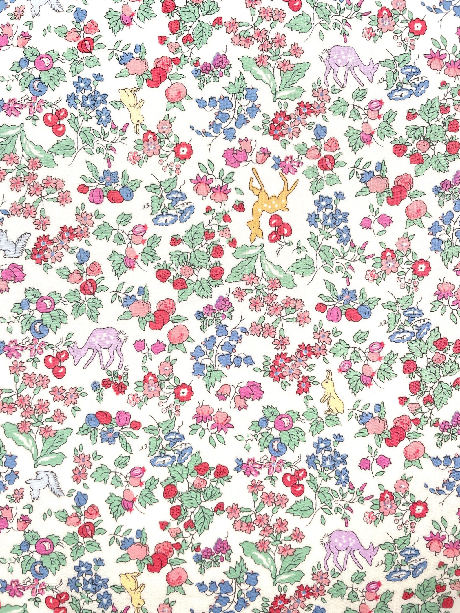 Rare Liberty Japan Nancy Animals Novelty Tana Lawn Fabric - Etsy