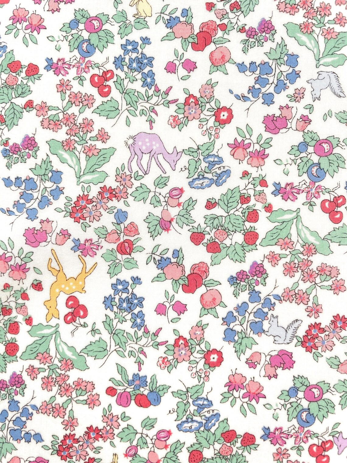 Rare Liberty Japan Nancy Animals Novelty Tana Lawn Fabric - Etsy