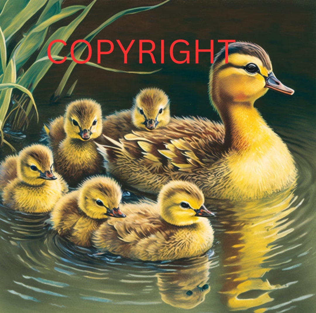 Eight Duck Flashcards - Etsy