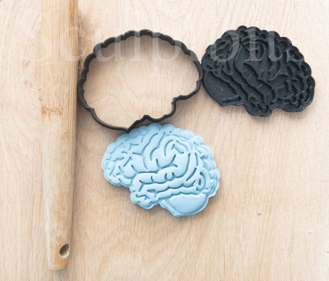 Cookie Cutter Human Brain Cutterstamp 3d Stl File - Etsy