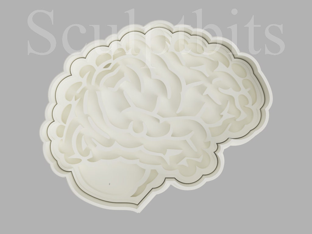 Cookie Cutter Human Brain Cutterstamp 3d Stl File - Etsy