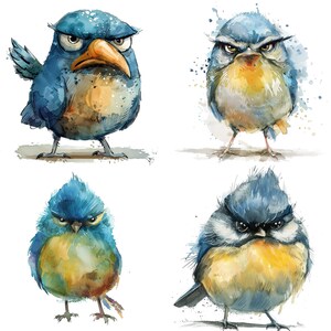 15 Grumpy Birds Clipart Bundle, Cute Fluffy Angry Birds, Digital ...