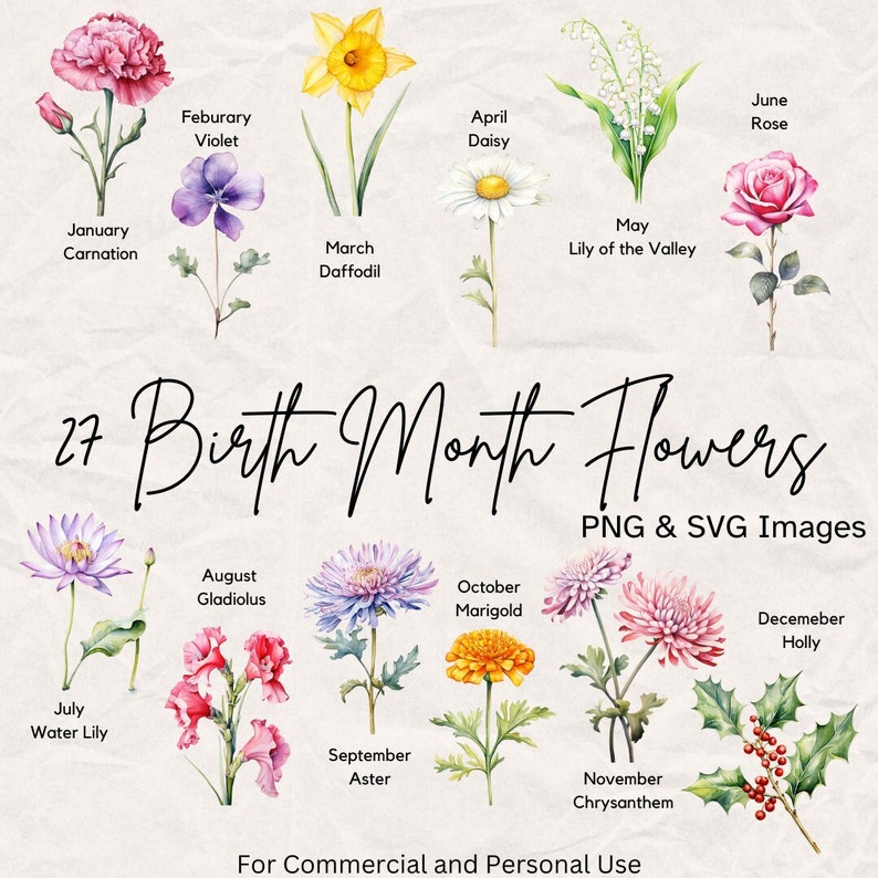 Watercolor Birth Month Flower Clipart, Birth Month Flower PNG, Birthday ...