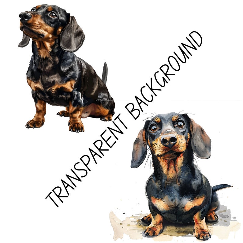 Dachshund Clipart Bundle: Sausage Dog PNG SVG Illustrations (10 Images ...