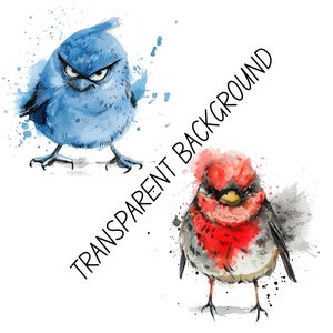 15 Grumpy Birds Clipart Bundle, Cute Fluffy Angry Birds, Digital ...