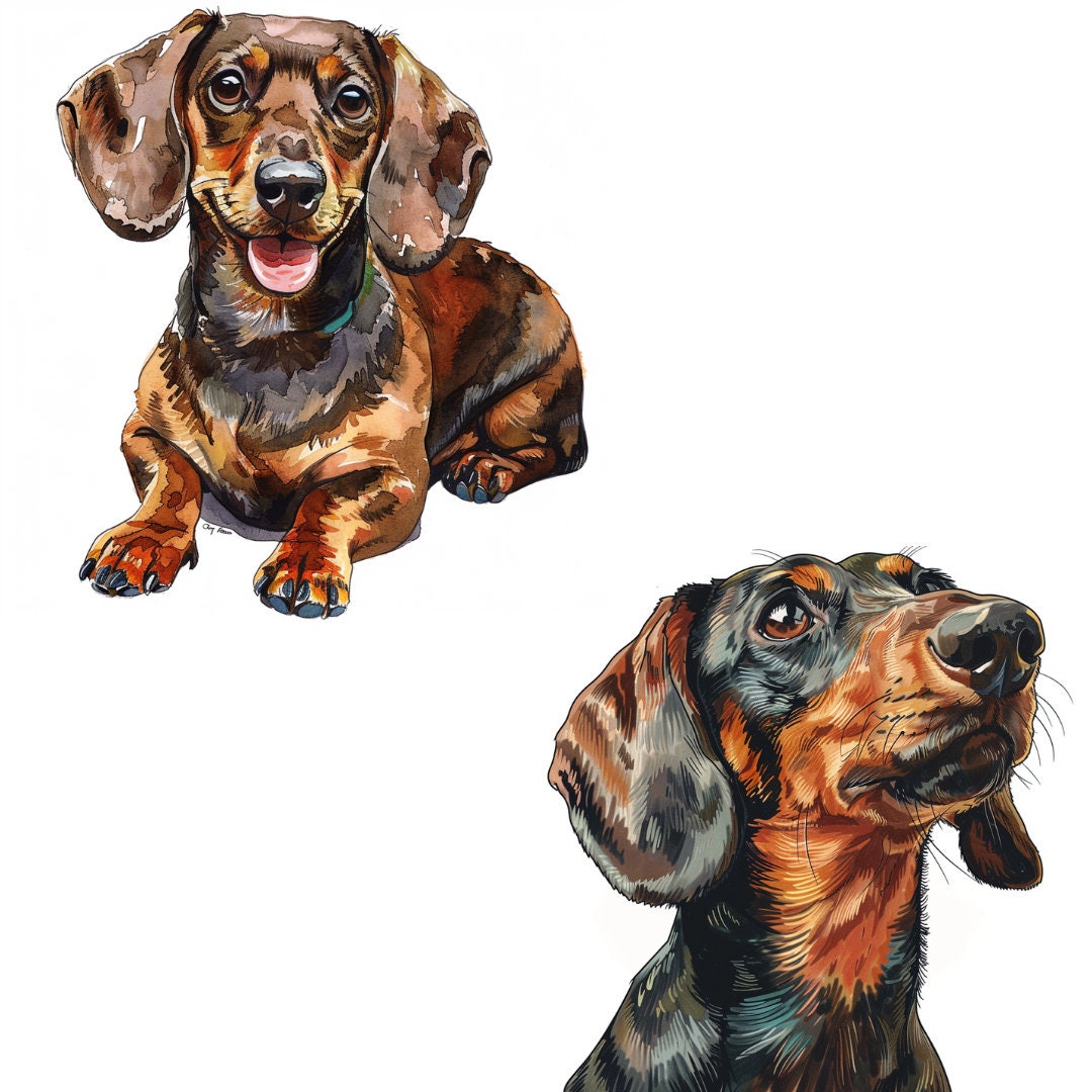 Dachshund Clipart Bundle: Sausage Dog PNG SVG Illustrations (10 Images ...