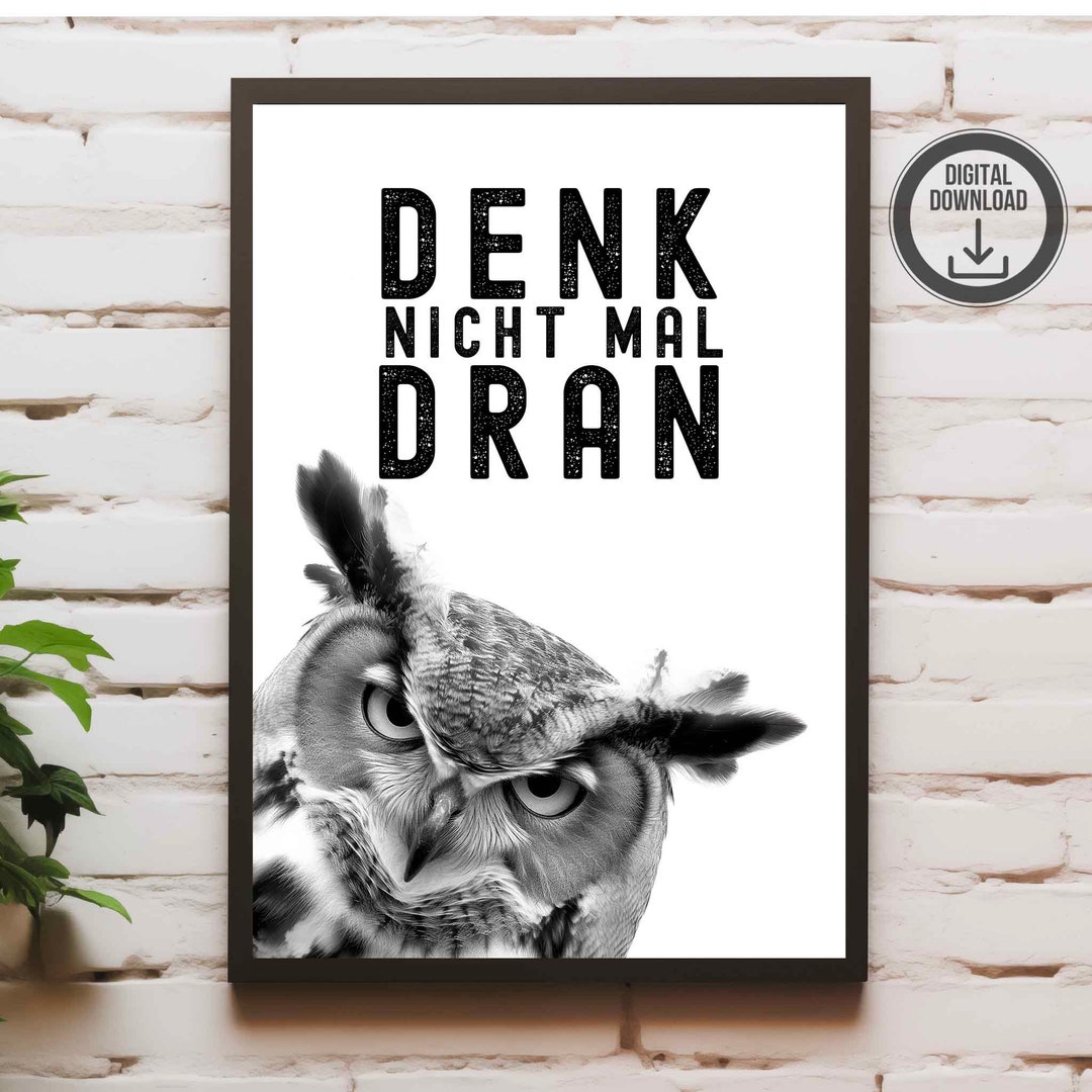 Poster Grumpy Owl don't Even Think About It Picture Saying Affirmation ...