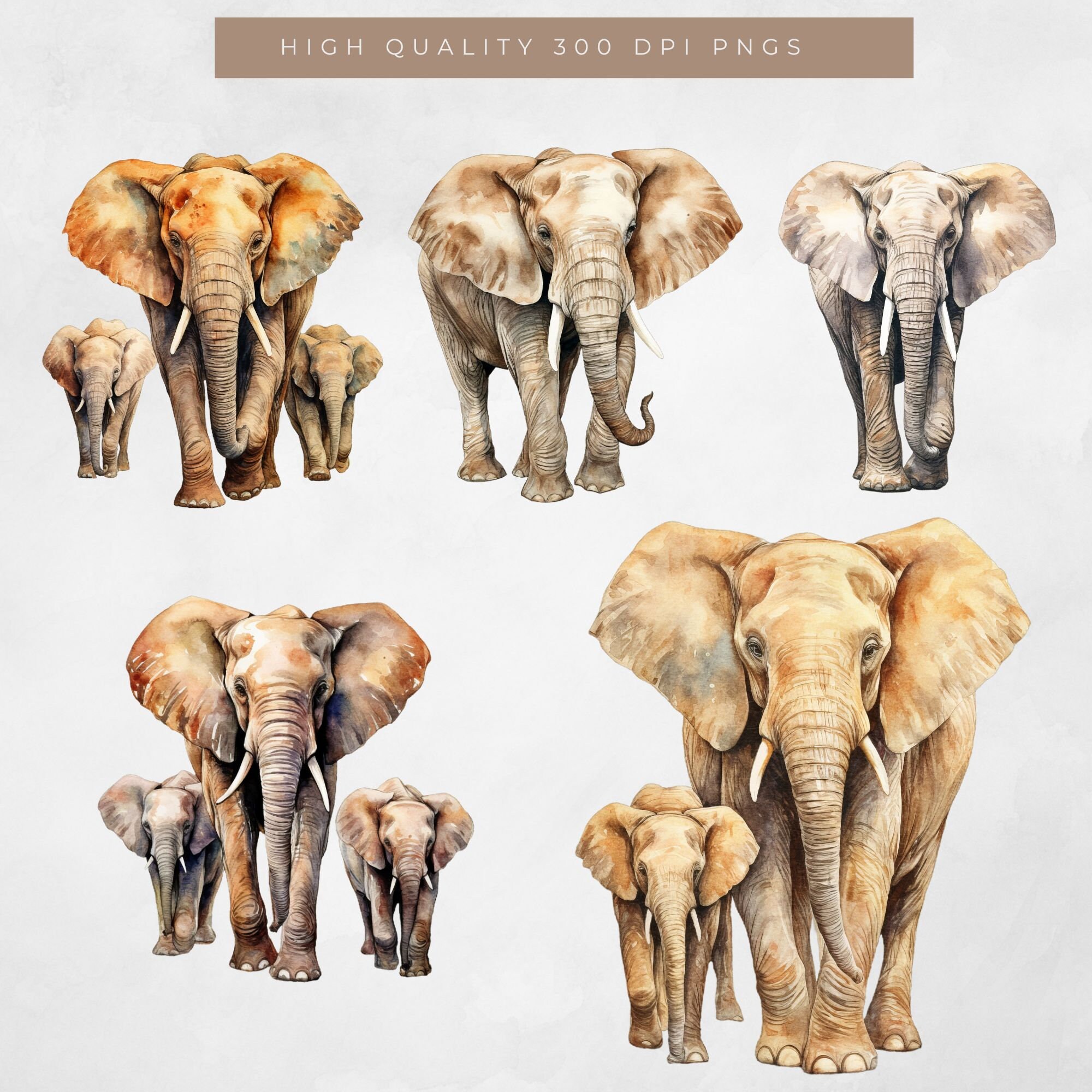 Elephant Clipart, Elephant Stickers, Goodnotes Stickers, Transparent ...