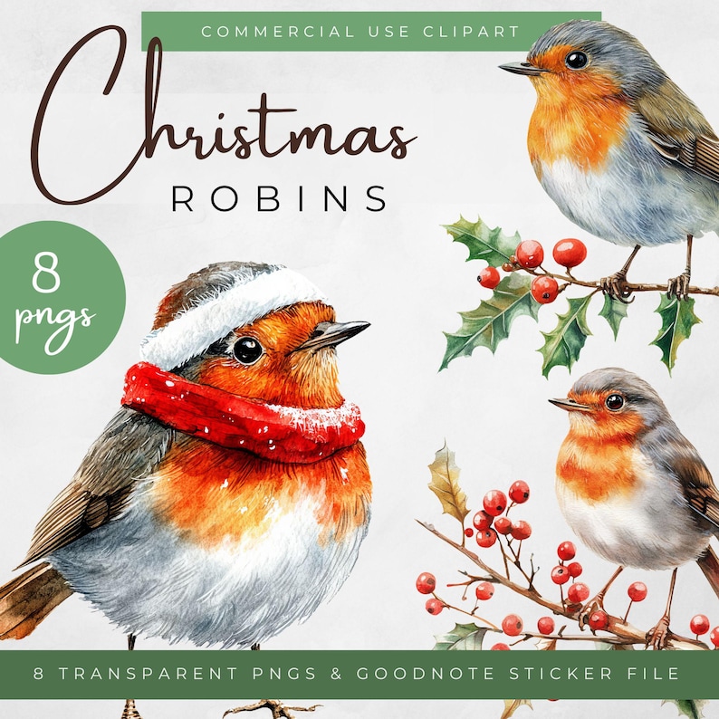 Christmas Robins Clipart, Festive Robin Bird Illustrations, Holiday ...
