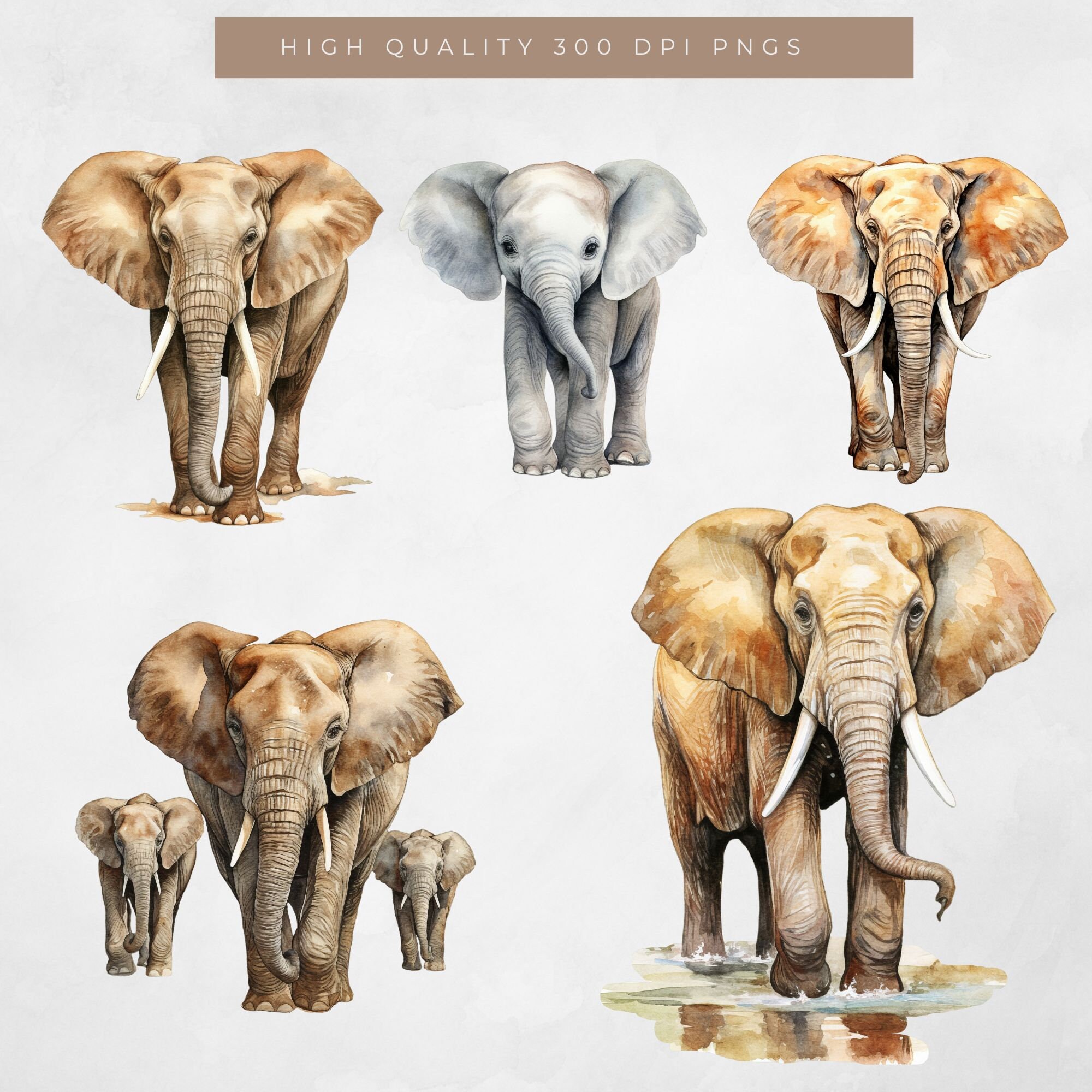 Elephant Clipart, Elephant Stickers, Goodnotes Stickers, Transparent ...