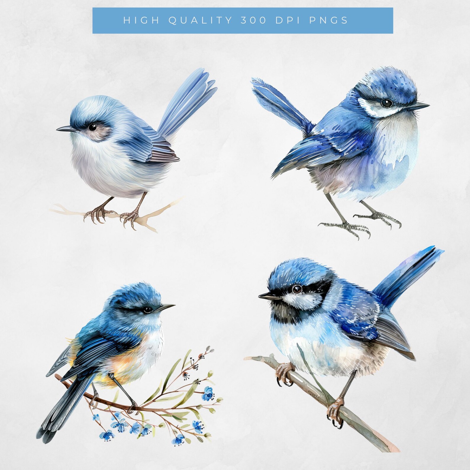 Watercolour Fairy Wrens Clipart, Blue Bird Stickers, Goodnotes Stickers ...