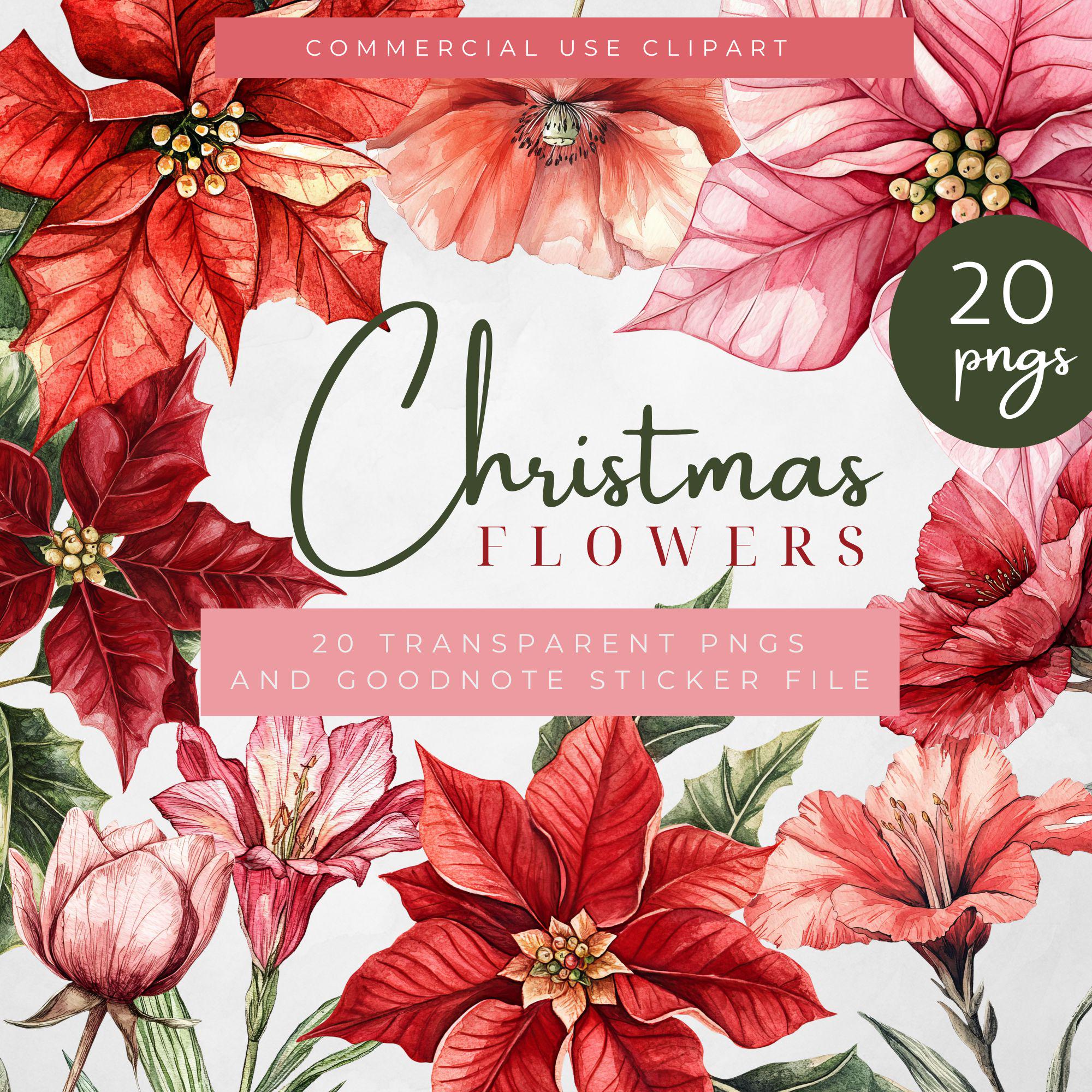 Christmas Flowers Clipart, Festive Poinsettias Illustrations, Holly and ...