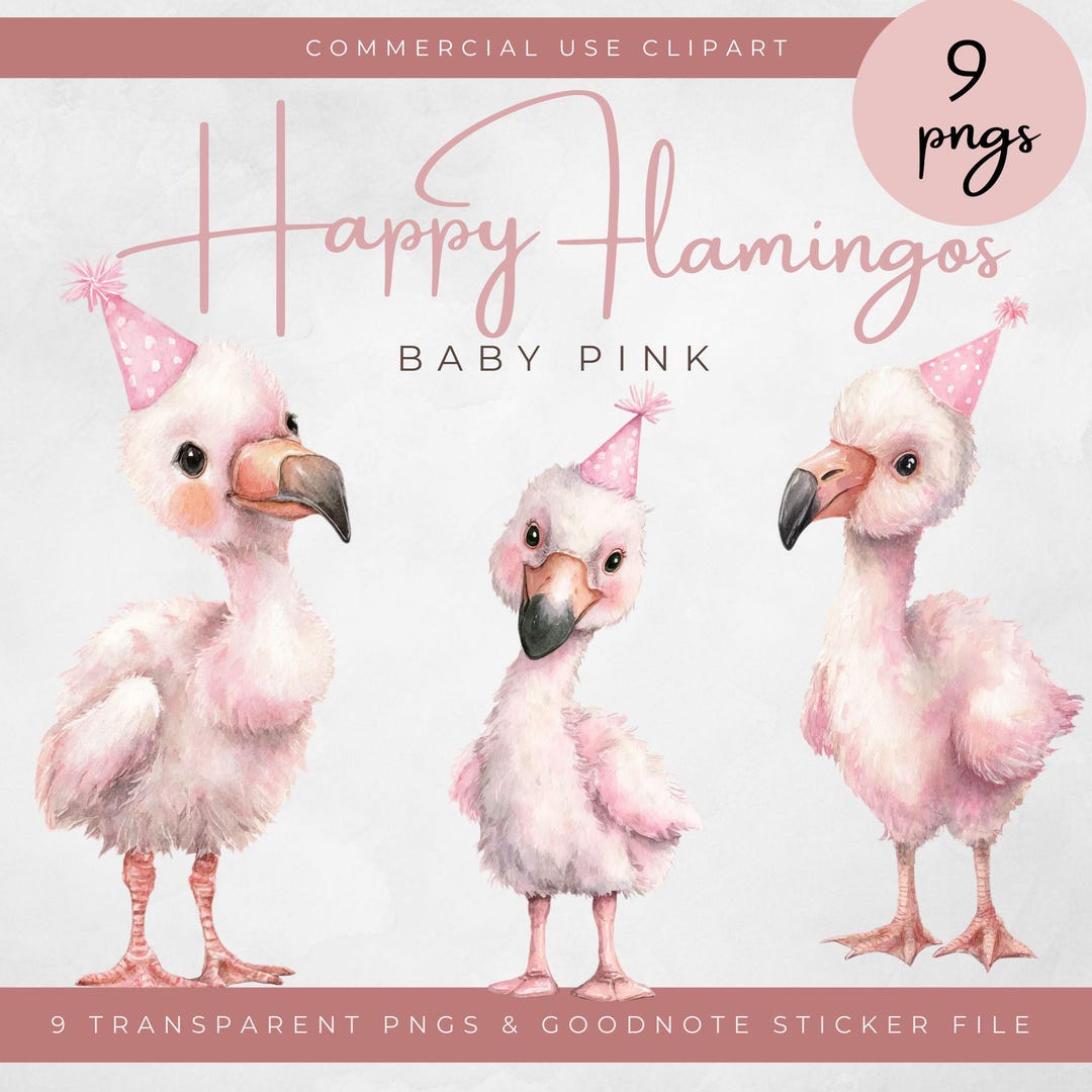 Happy Baby Pink Flamingo Clipart Set, Cute Baby Flamingo Pngs, Nursery ...