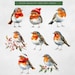 Christmas Robins Clipart, Festive Robin Bird Illustrations, Holiday ...